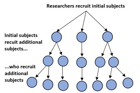Image result for Snowball Method Research