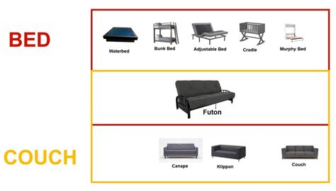 Image result for Classification vs Categorization