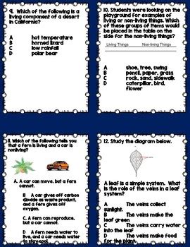Image result for 3rd Grade Science Task Boxes