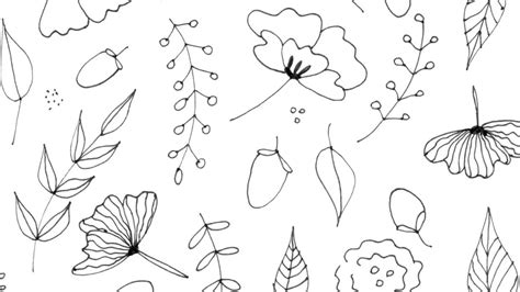 Image result for Line Drawing Practice