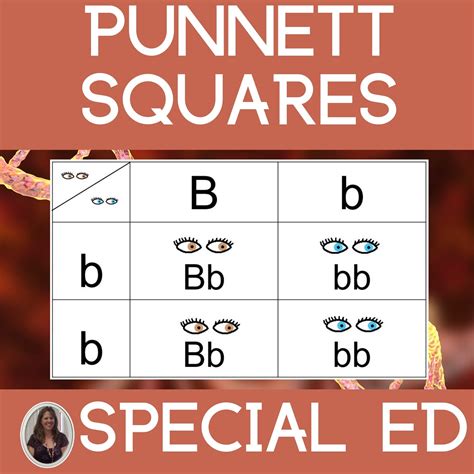 Image result for Punnett Square Tutorial