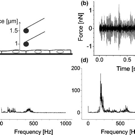 Image result for AFM Force Distance Graph