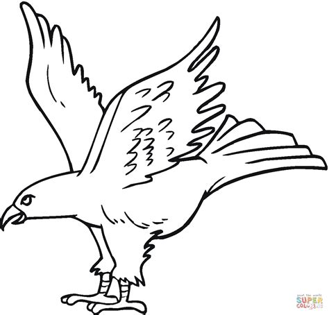 Image result for Hawk Drawing Easy Cartoon