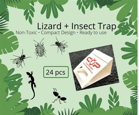 Image result for Easy Homemade Lizard Traps
