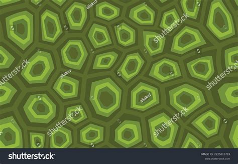 20,836 Turtle Shell Patterns Images, Stock Photos, 3D objects ...