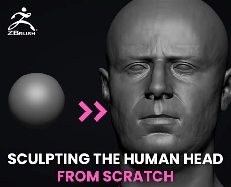 Image result for Sculpting Basic Head Tutorial