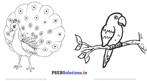 Image result for Punjabi Class 3rd PSEB Lesson 8 Exercise