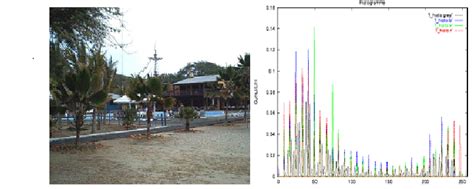 Image result for Color Histogram