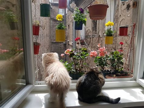 Image result for View From Our Window