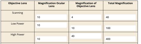 Image result for Objective Lens Magnification