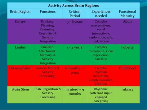 Image result for Bruce Perry Pattern of Stress