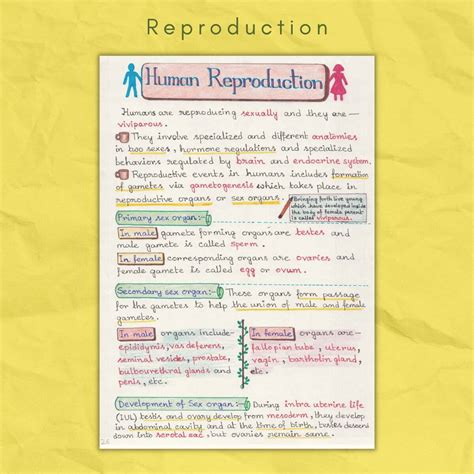 Image result for Life Science Grade 12 Human Reproduction