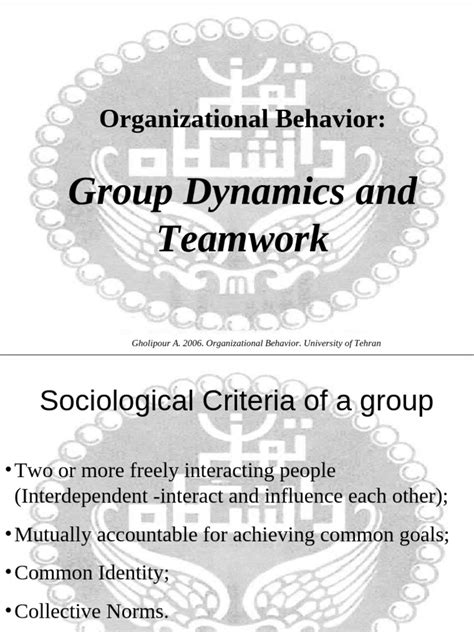 Group Dynamics | PDF | Group Cohesiveness | Organizational Behavior