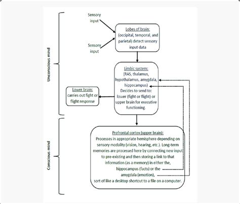 Image result for How Do Humans Learn