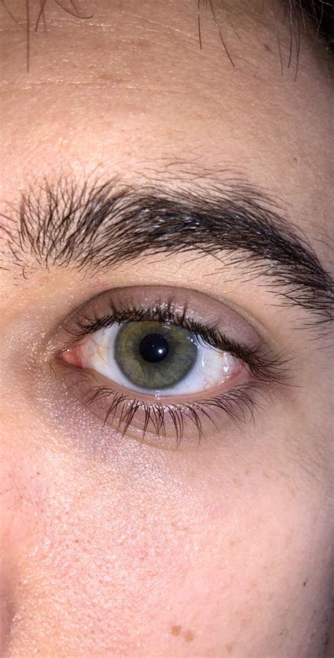 Image result for Eye Color Check