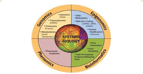 Image result for System Definition Science