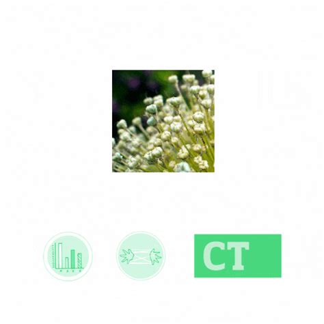 Image result for Redirection Support