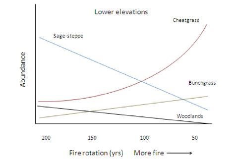 Image result for Frequency Sampling Structure of Fire