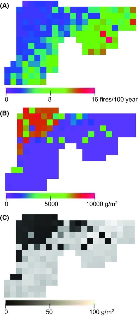 Image result for Frequency Sampling Structure of Fire
