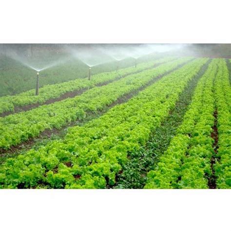 Image result for Automatic Irrigation System
