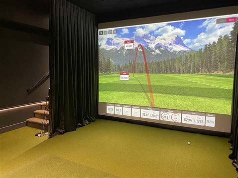 Image result for Golf Simulator Ceiling
