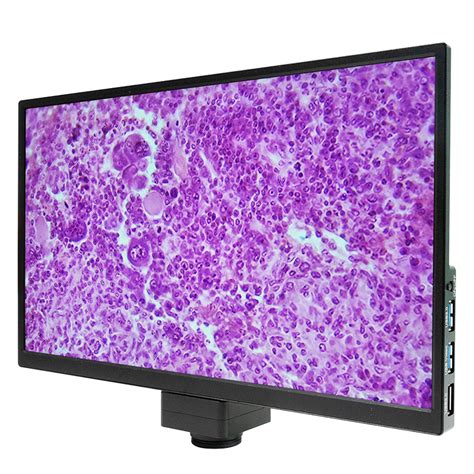 Image result for Best Microscope Camera Software