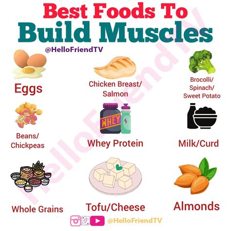Image result for Food Build Guide