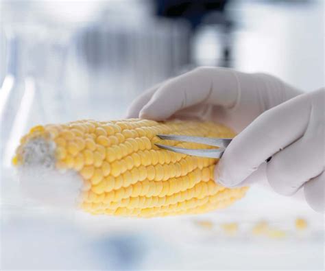 Image result for API Proficiency