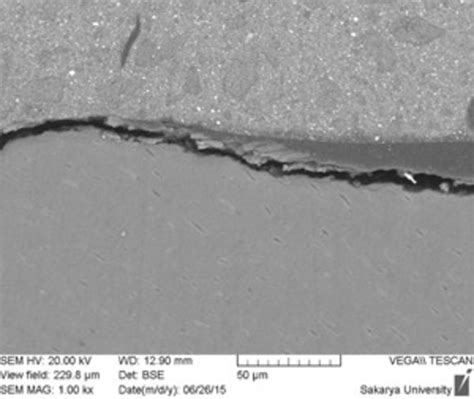 Image result for Scanning Electron Microscope Magnification