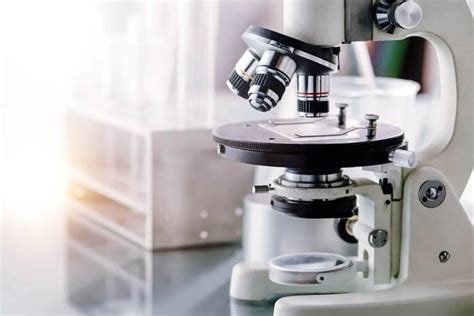 6 Best Microscope Brands Reviews 2025 | Recommended Models