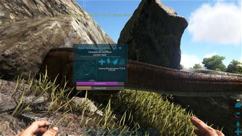 Image result for Ark Taming Tutorial
