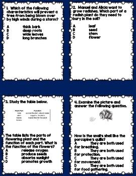 Image result for 3rd Grade Science Task Boxes