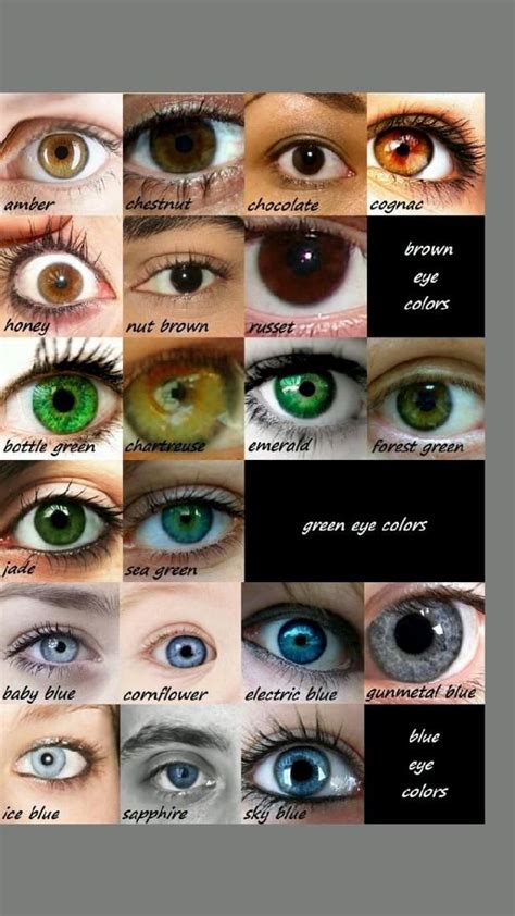 Image result for Eye Color Examples