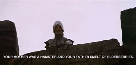 Image result for Monty Python Castle Scene