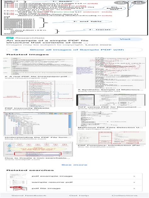 Image result for Sample PDF with Image and Text