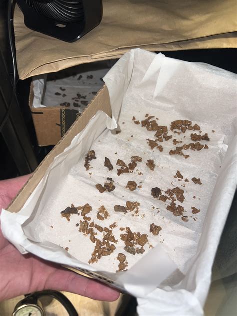 Image result for Drying Out Bubble Hash