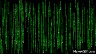 Image result for Gold Matrix Code GIF