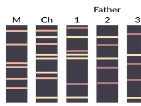Image result for Forensic Profiling