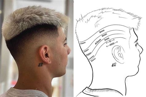 Image result for Ladybug Fade