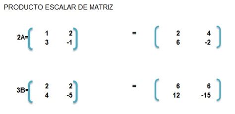 Image result for Las Matrices