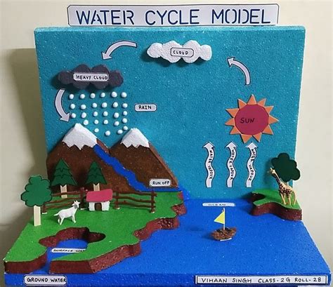 Image result for Water Cycle Model
