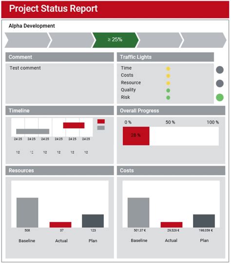 Image result for Status Report Examples