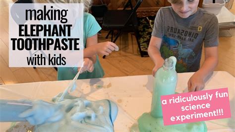 Image result for Elephant Toothpaste Project