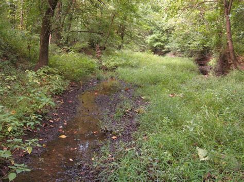 Image result for Stream Sampling