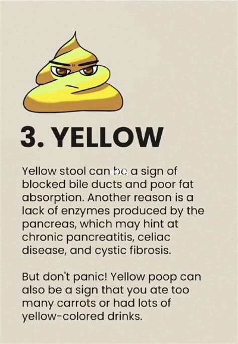 Image result for Yellow Stool Poop