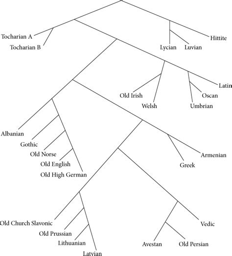 Image result for Language History Tree