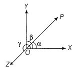 Image result for Class 12 Vectors Notes