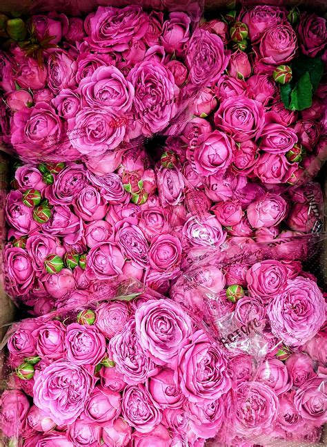 Image result for Free Hello Spring