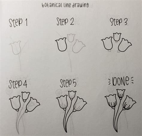 Image result for Flower Drawing Tutorial