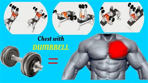 Image result for Build Chest Muscles